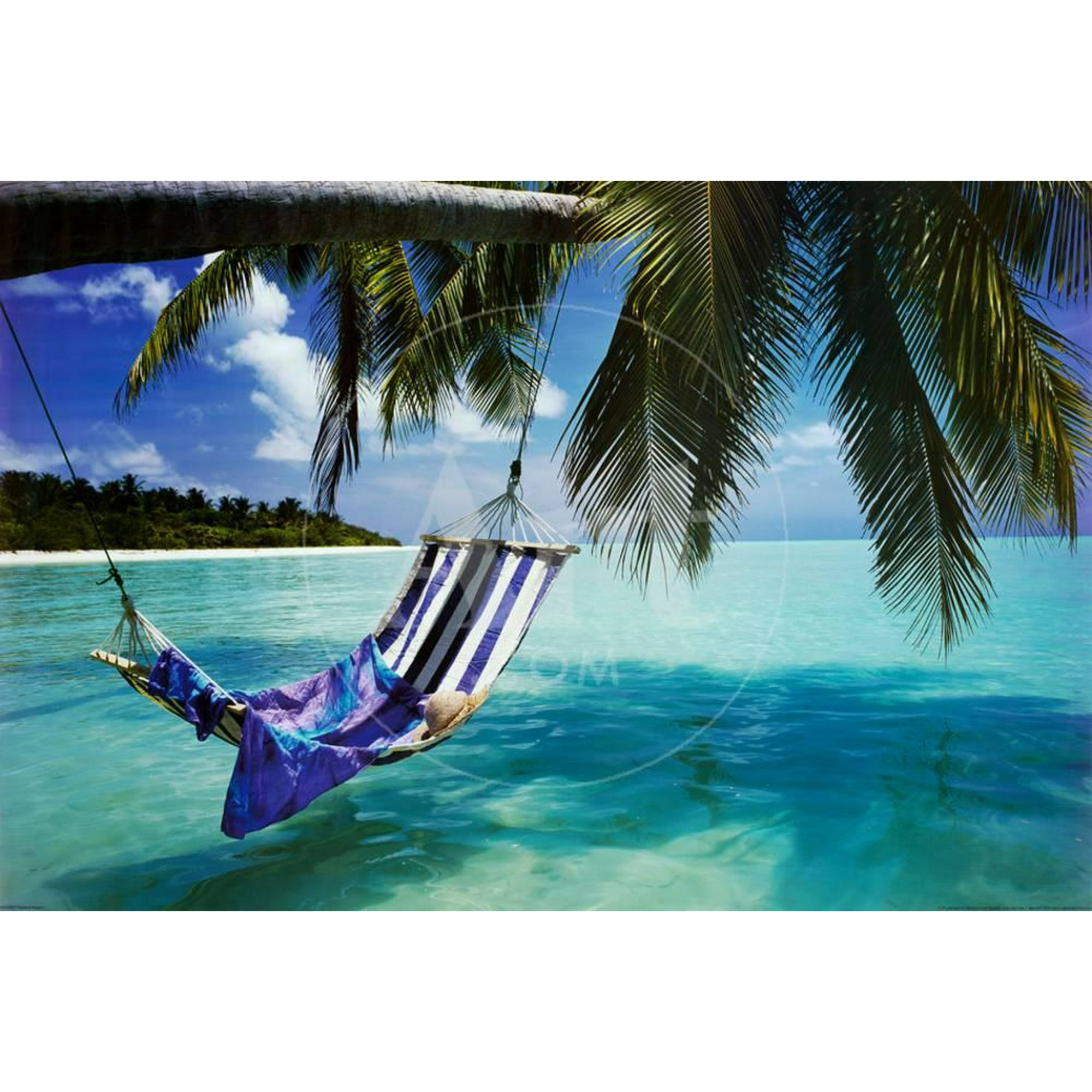 Tropical Beach Pictures Hammock