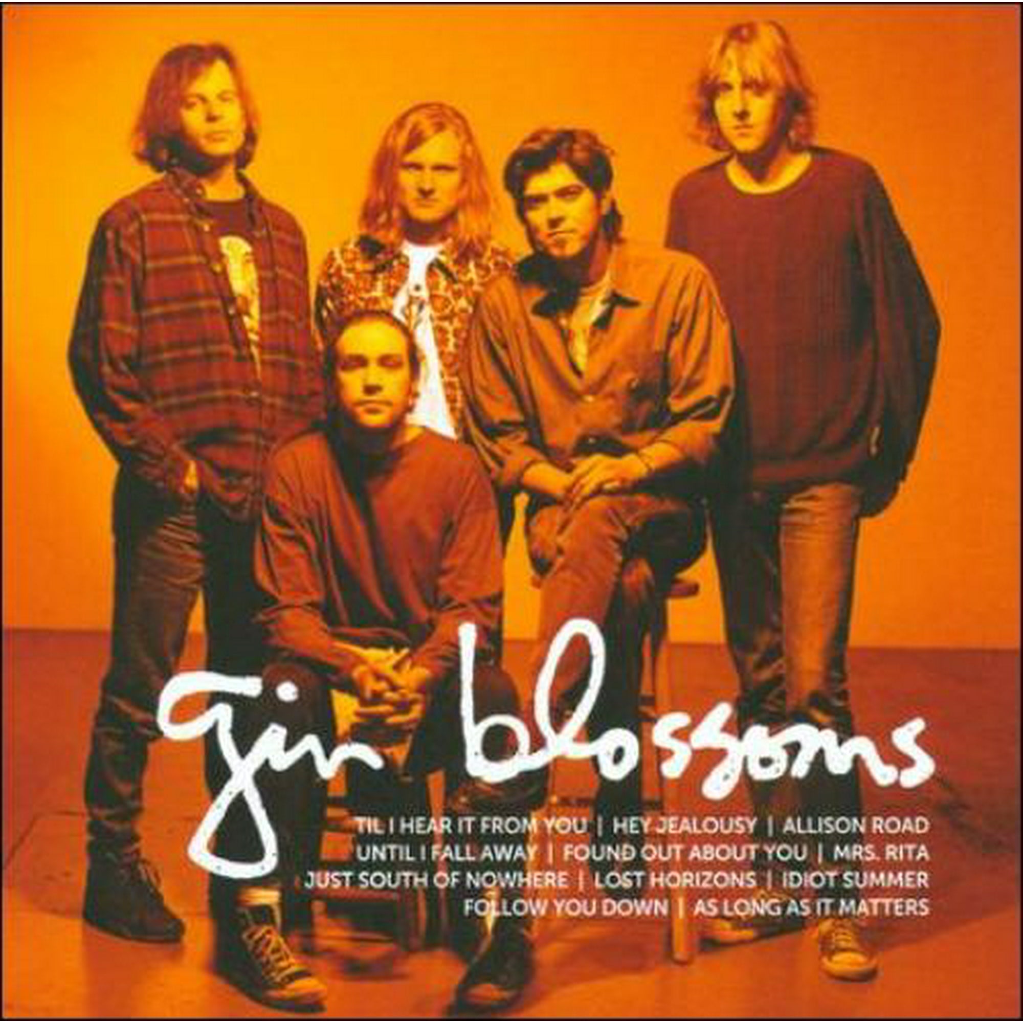 Click here for Gin Blossoms Icon Cd prices
