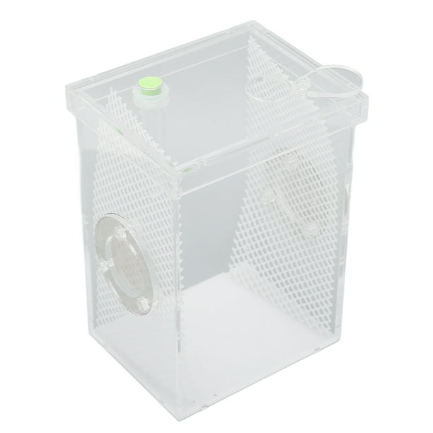 Reptile Insect Breeding Box,Reptile Insect Enclosure Tank Feeding Box ...