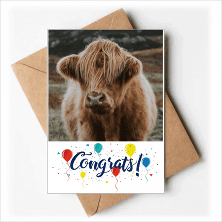 m Animal Buffalo Wedding Cards Congratulations Greeting Envelopes ...