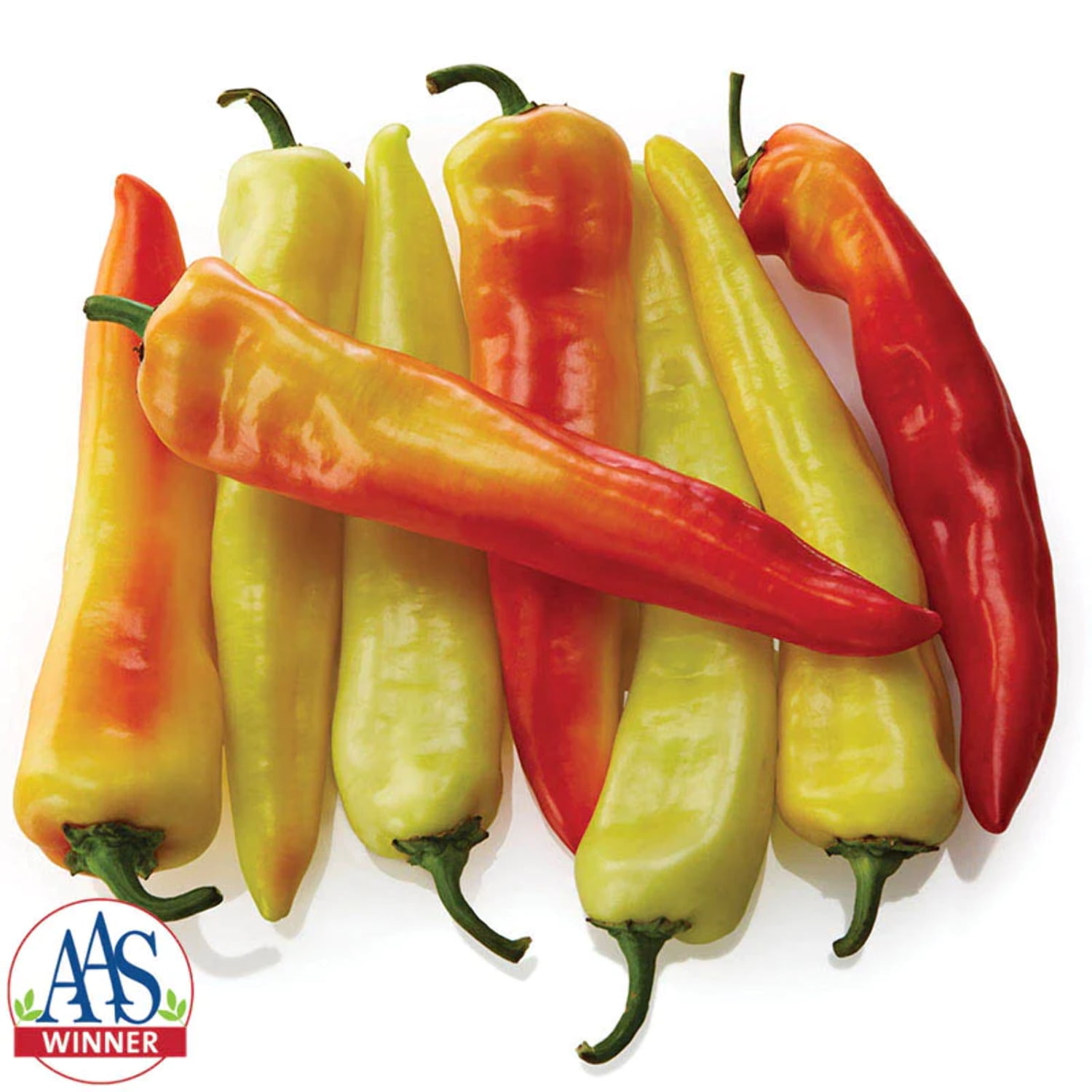 Pepper Seeds - Sweet Sunset Variety Pepper Seeds - Non-GMO - 50 Seeds ...