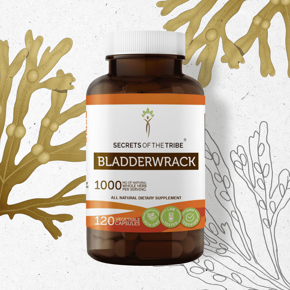 Secrets of the Tribe Bladderwrack 120 Capsules, 500 mg, Organic ...