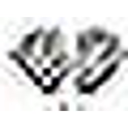 Girls Cheerleader Pompom Cheerleading Cheer US Dance Party Club ...