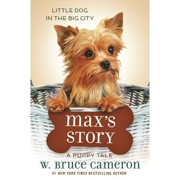 Nubby's Story (the Dodo) - Walmart.com