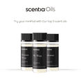 SCENTIA Waterless Mini Pod Essential Oil Diffuser Wireless, Cold Air ...