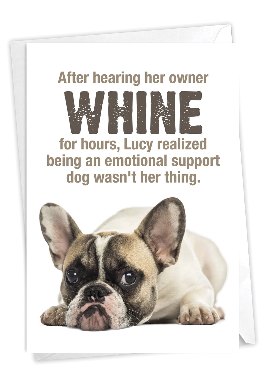 Funny Dog Birthday Card With Envelope Pet Pug Humor Bday Greeting Funny Dog Birthday Card With Envelope Pet Pug Humor Bday Greeting