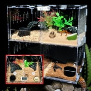 Scorpion Enclosure