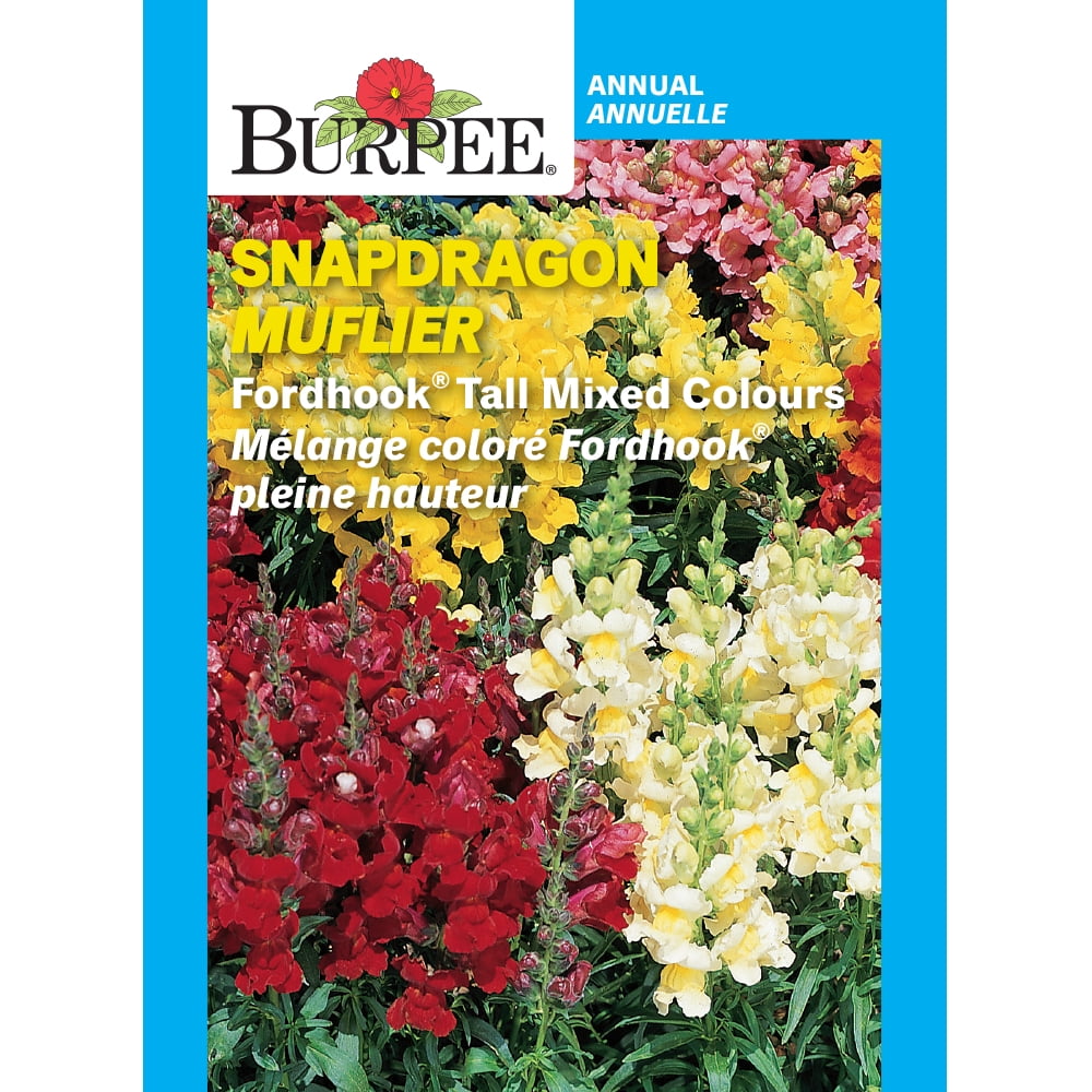 Click here for Burpee Canada Burpee Fordhook Tall Mixed Colours S... prices