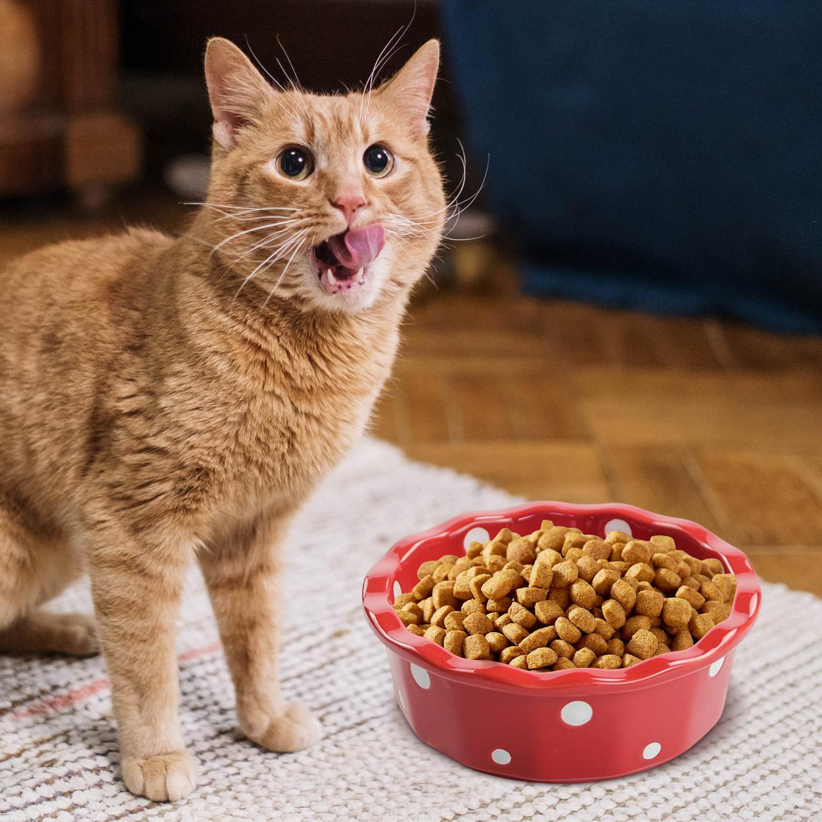 Siam Cat Food Dishes