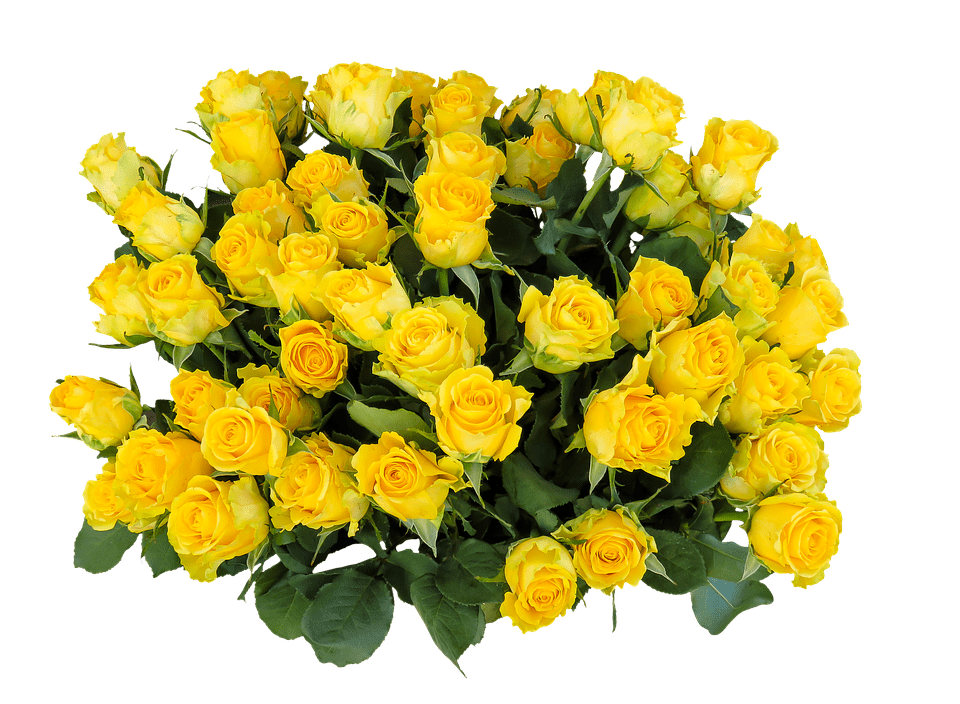 Yellow Hummer Transparent Background