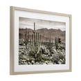 Stupell Industries Desert Land Cacti Wilderness Birch Framed Print ...