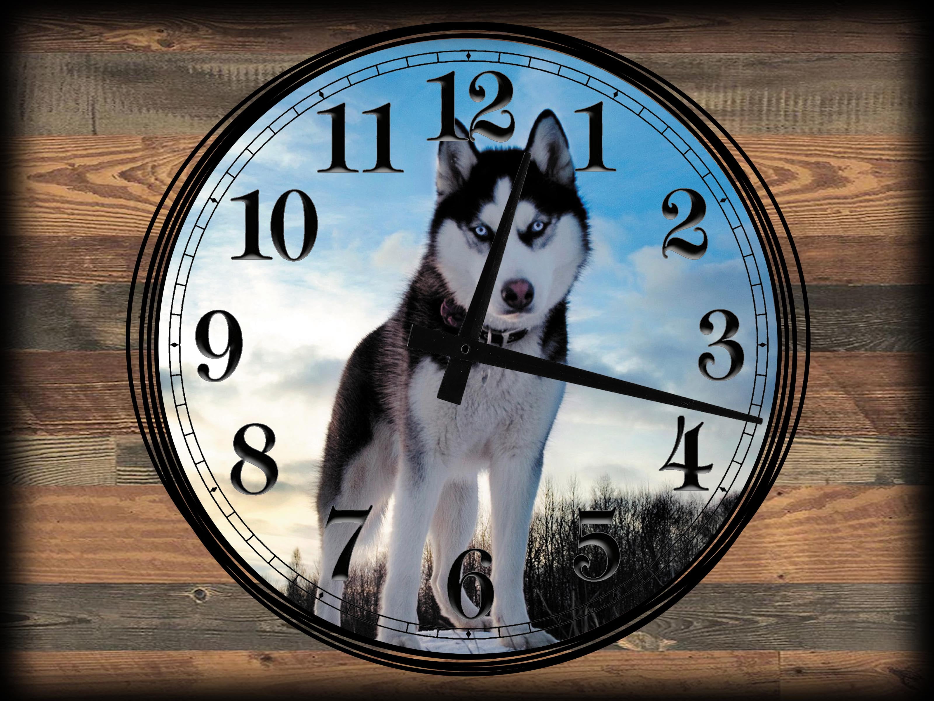 Large Wall Clock on Canvas Art Blue Eyed Husky American Dog K9 Wolf 12 ...