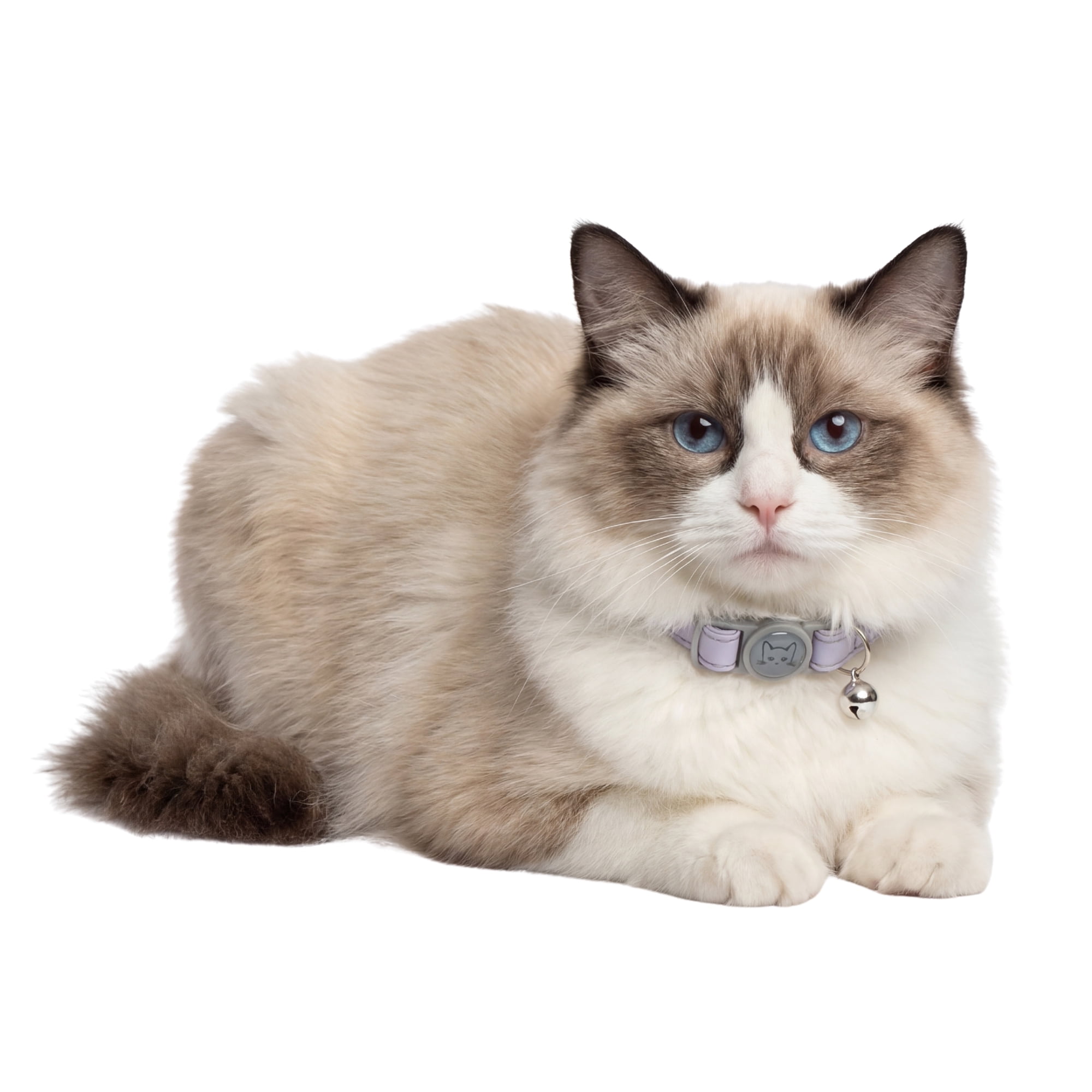 Click here for One Paw  Vegan Leather Safety Cat Collar  Breakawa... prices