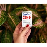 TOXIC OFF, Daily Dietary Supplement Capsules, 20 Plant-Based Botanical ...