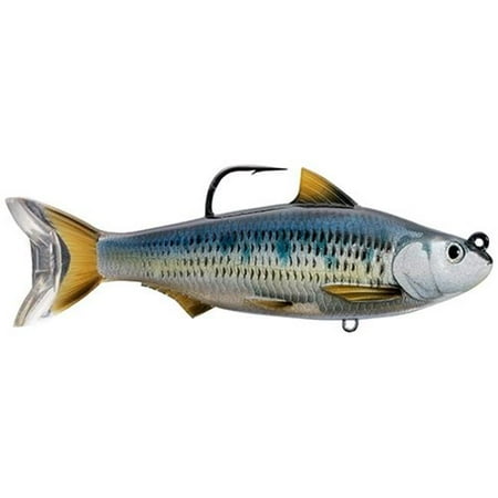 LiveTarget Lures CSS100MS201 Common Shiner Swimbait, Silver & Blue - 4 ...