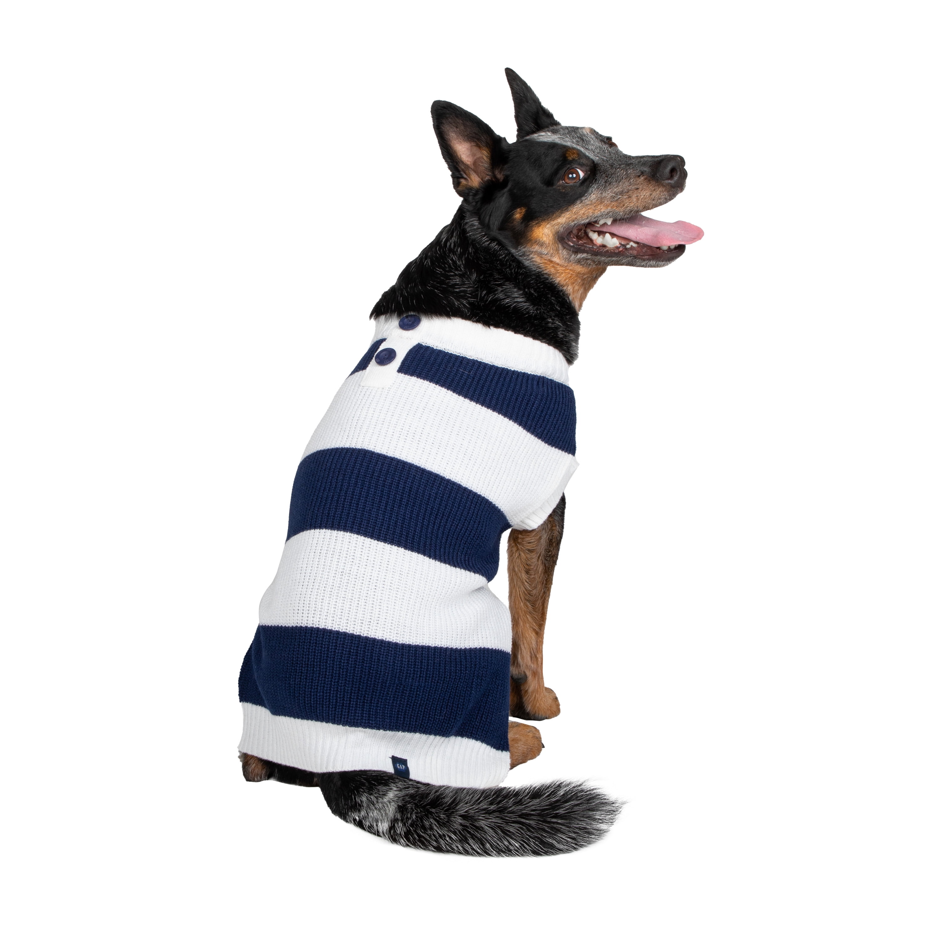 Gap Pet, Dog Clothes, Blue Striped Henley Pet Sweater - Walmart.com
