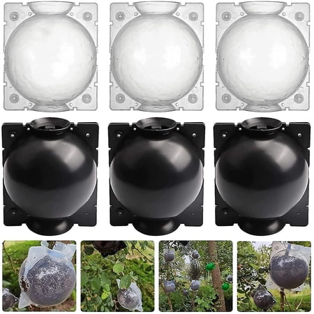 Propagation Ball 6 Pieces Plant Rooting Box Plant Root Device Plant ...