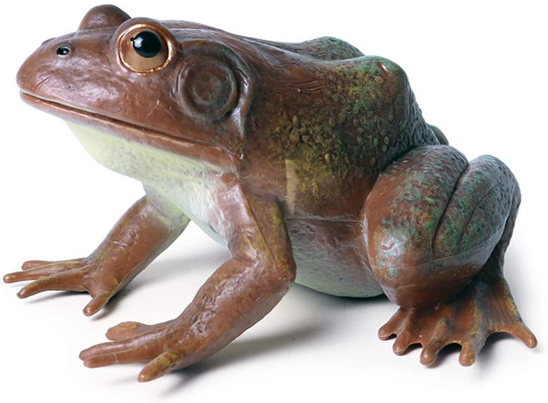 Tree Frog Realistic Hand Painted Toy Bullfrog Figurine Model Quality ...