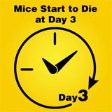 d-CON Corner Fit Mouse Bait Station, Refillable, Indoor and Outdoor Use ...