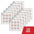 EZ Aim 9-Spot Bullseye Paper Targets 12in Square 12-Pack .39lb for ...