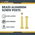 50 Pack of Chicago Screw Post Binding Screws, 6mm Brass Plated Metal ...