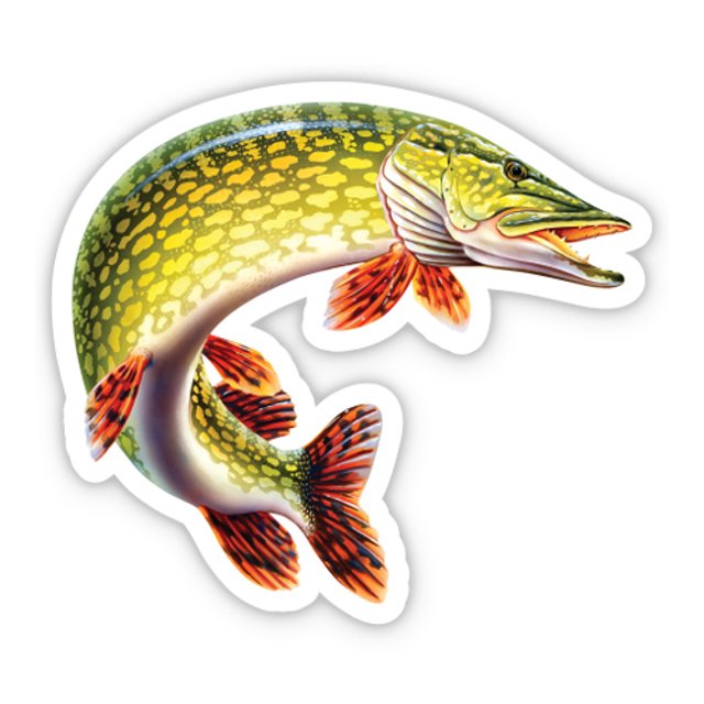 Pike Jumping - 12" Vinyl Sticker Waterproof Decal - Walmart.com