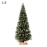 Real Small Christmas Trees