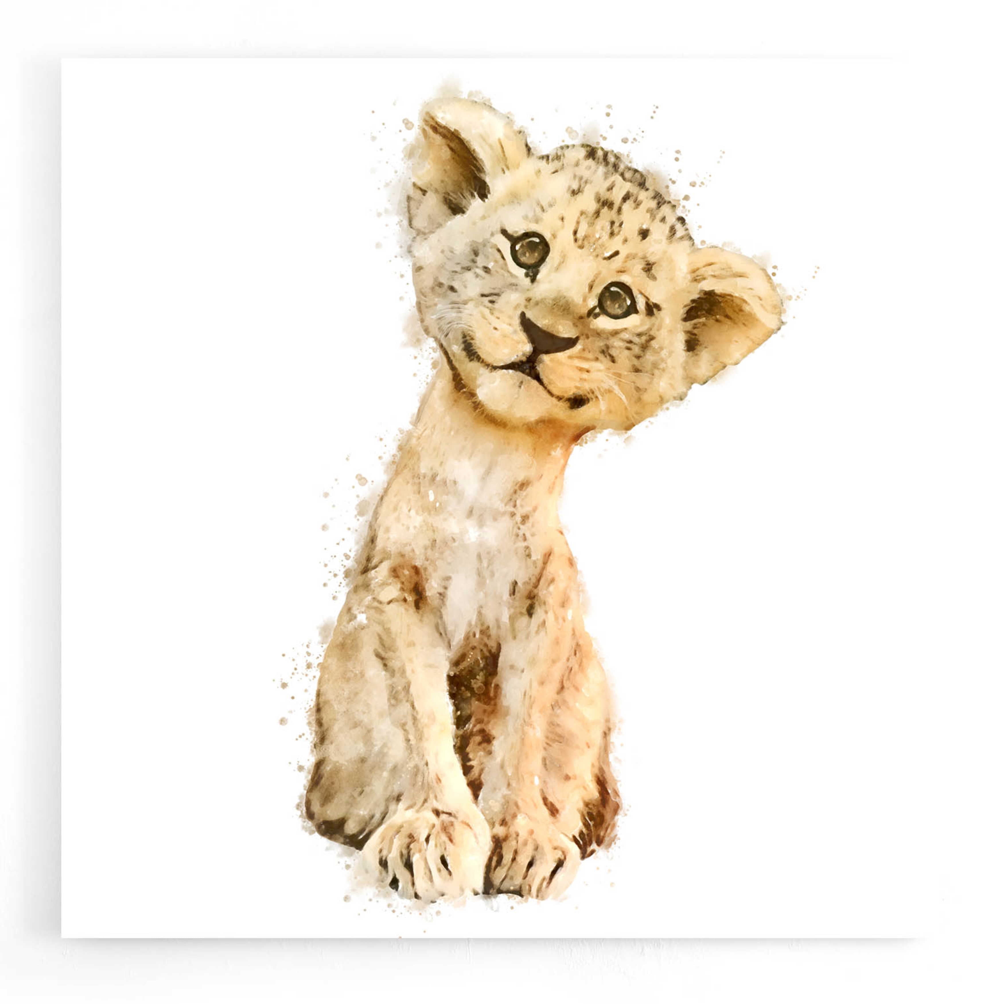 Epic Art 'Simba' by Kim Curinga, Acrylic Glass Wall Art, 12"x12 ...
