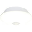 Bell+Howell Cordless LED Ceiling Light with Remote Control, Motion ...