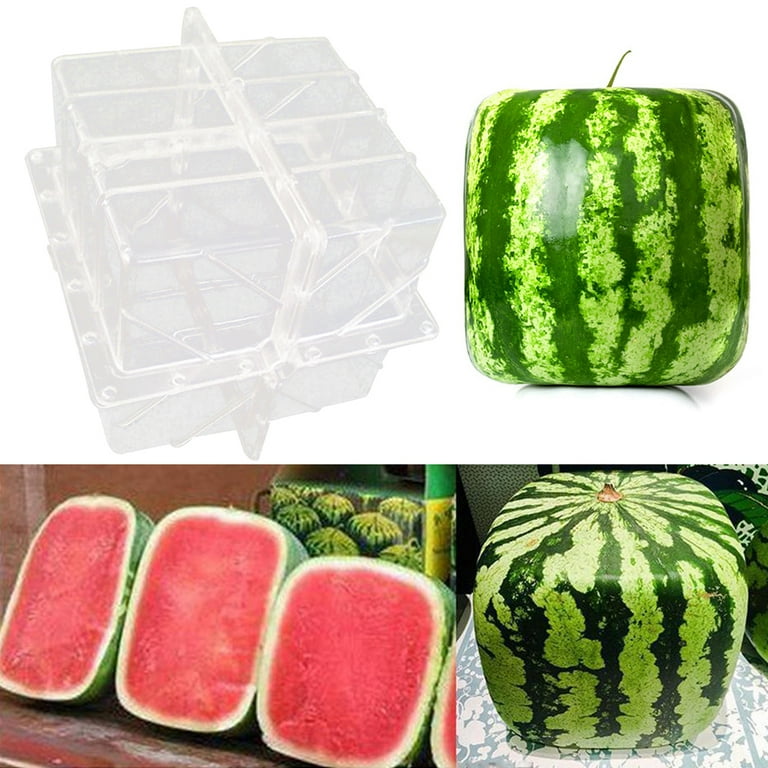 Square Fruit