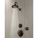 Delta 3-Spray Shower Head in Venetian Bronze RP34355RB - Walmart.com
