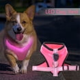 Chest Back Harness Glowing Adjustable Length Pet Traction Dog LED Dog ...