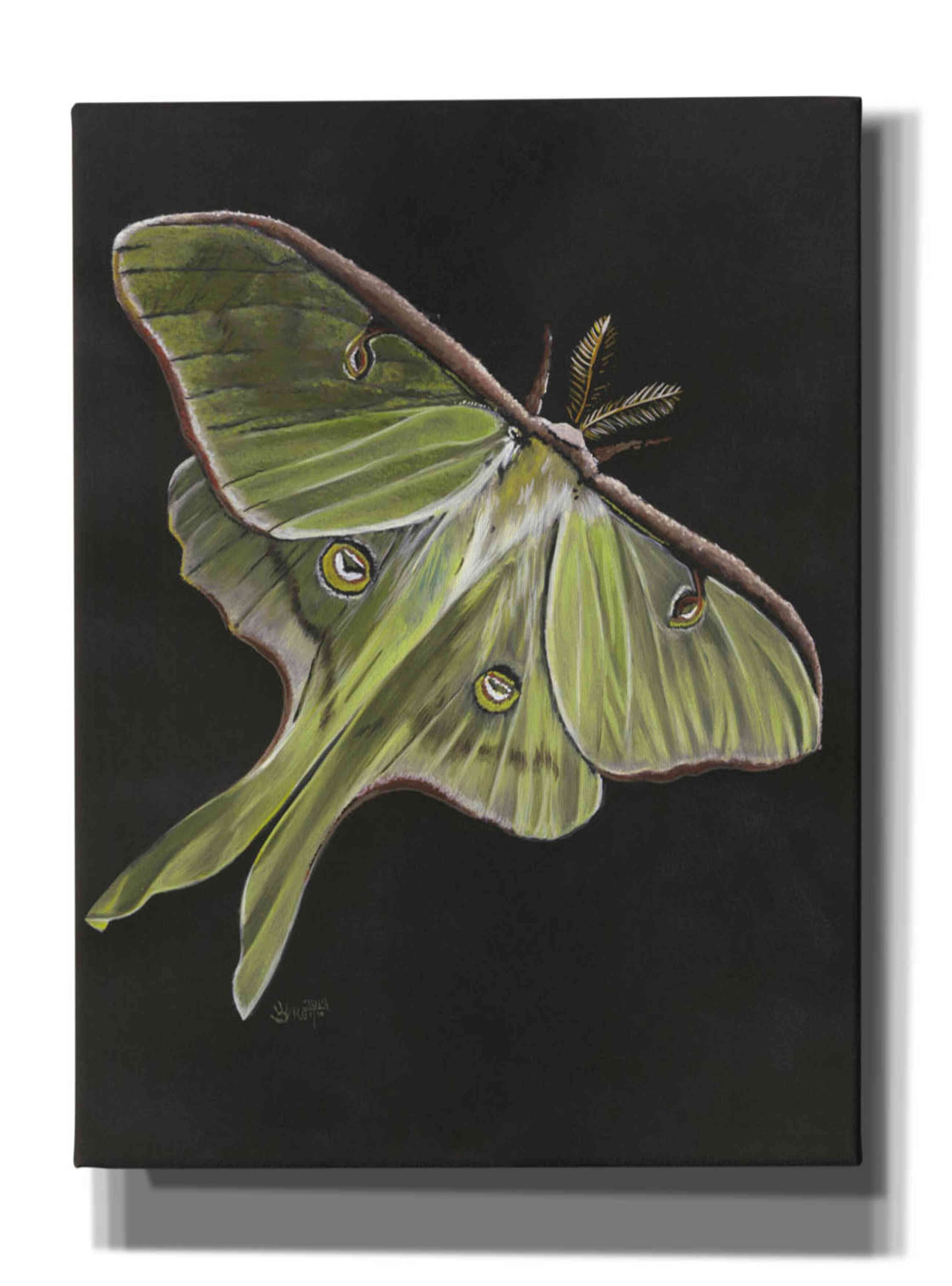 Epic Graffiti 'Luna' by Barbara Keith, Canvas Wall Art, 40"x54 ...