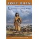 Soft Rain: A Story of the Cherokee Trail of Tears (Paperback) - Walmart.com