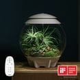 biOrb AIR 30 Terrarium - White, Acrylic - Walmart.com