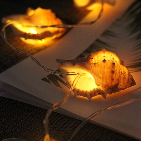 Natural Conch LED String Lights 9.8ft (3M) 20 Led Lights 2 bright light ...
