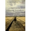 Chasing Fireflies: A Novel of Discovery, (Paperback) - Walmart.com