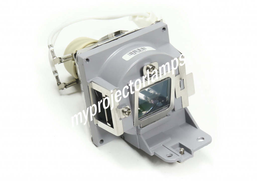 Projector Lamp Replaces Viewsonic RLC-049 - Walmart.com