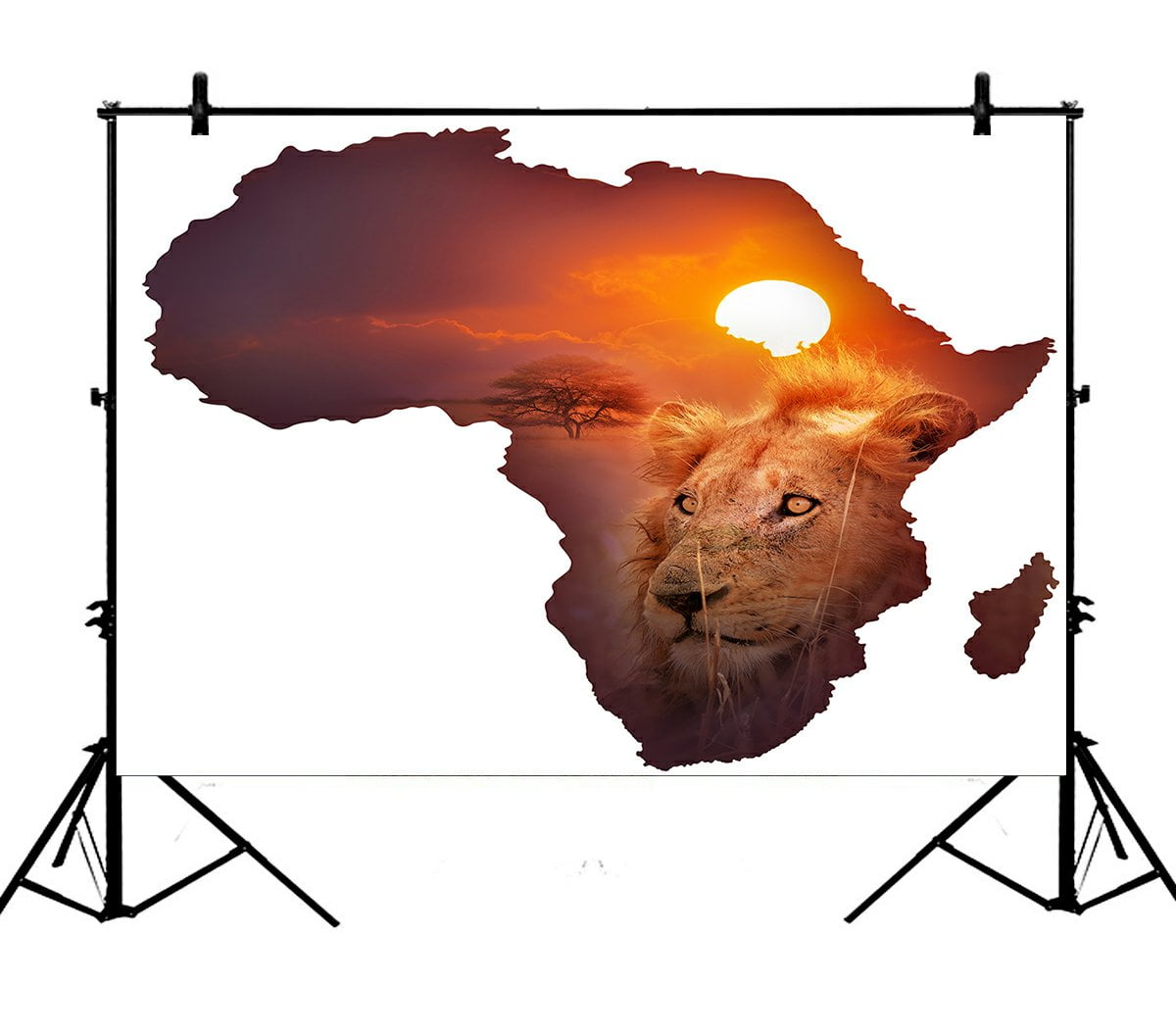 PHFZK 7x5ft Safari Decor African Art Wildlife Backdrops, Continent Lion ...