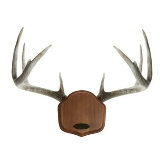 Deer Mounting Kit With Cape