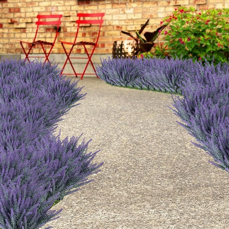 Lavender Garden Border