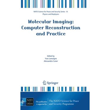 NATO Science for Peace and Security Series B: Physics and Bi: Nano ...