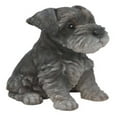 Hi Line 7” Schnauzer Puppy Garden Statue, Durable Polyresin - Walmart.com