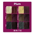 BRITE Clean Color Permanent Hair Color Kit - Plum, Vegan, Cruelty Free ...