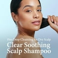 Kundal Pro Deep Cleansing And Oily Scalp [apple Green Tea] Hair Shampoo