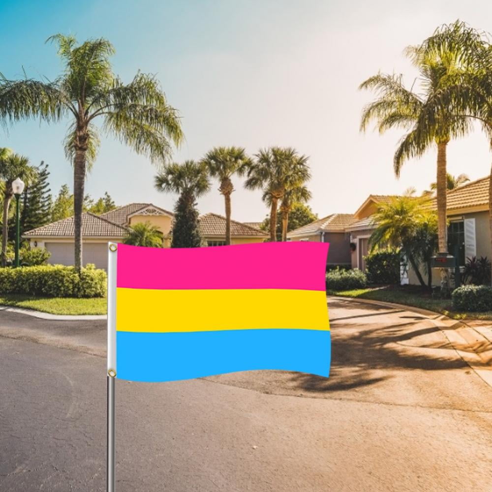Pan Pride Flag
