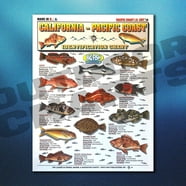 Asia Map Chart 17x22 [TCR7652] - Walmart.com