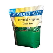 Winter Rye Seeds - 25 Lbs Bulk - Non-GMO Rye Grain Cover Crop Seeds ...