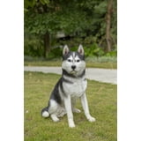 Hi-Line Gifts 20" Sitting Siberian Husky Outdoor Garden Statue ...