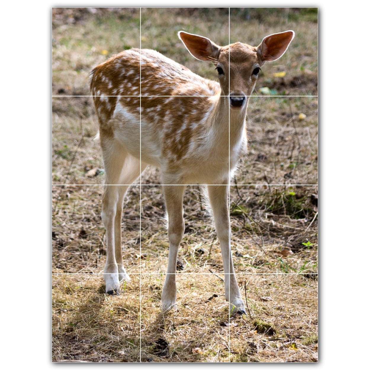 Picture-Tiles.com: Deer Ceramic Tile Wall Mural WAL500462-34XL. 36"W x ...